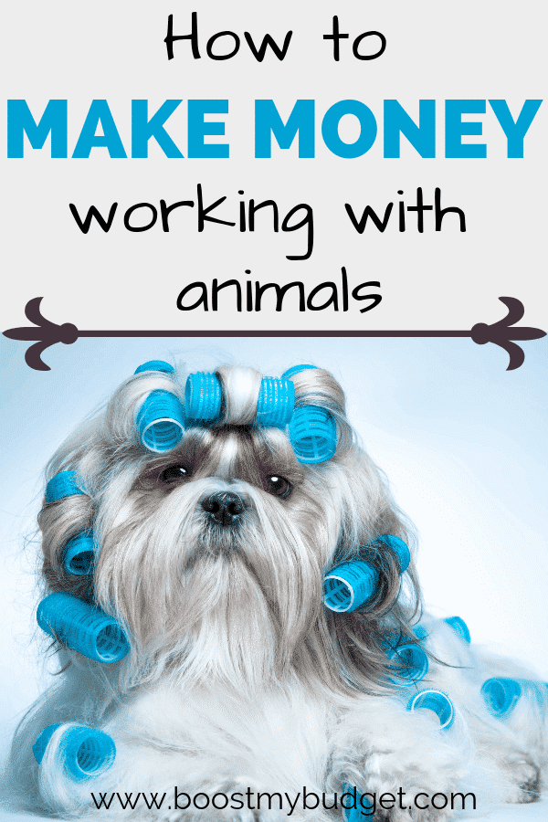 6 Adorable Ways to Make Money With Animals - Boost My Budget